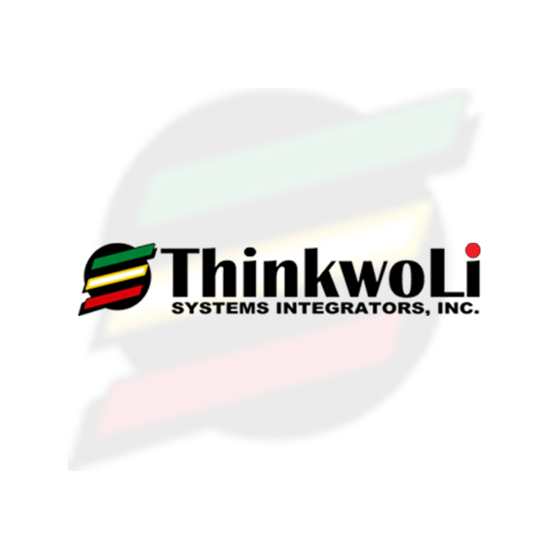 Thinkwoli Systems Integrators, Inc. – Thinkwoli Systems Integrators, Inc.